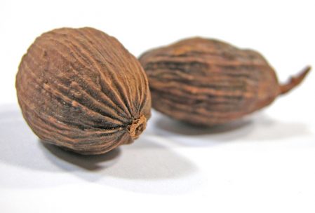 About Nutmeg – Goldoven